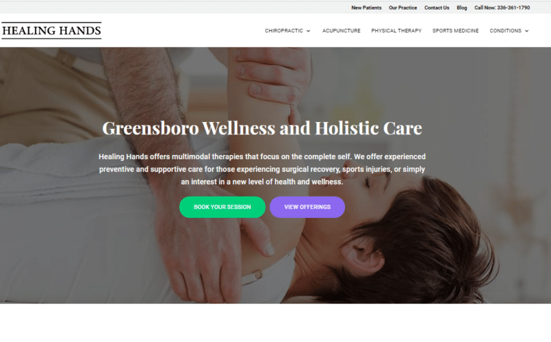 30+ Best Chiropractic Websites for 2021 & Why They're Great